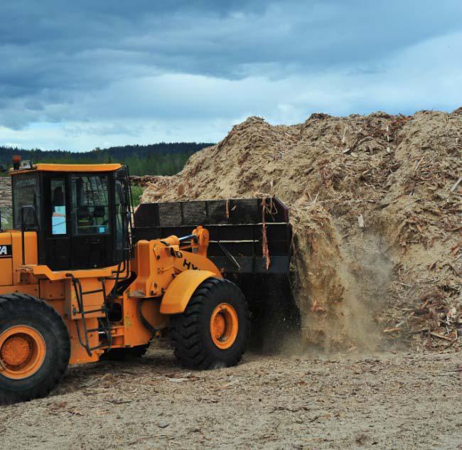 Fort St. James Is Developing a World-Class Integrated Forestry Hub ...