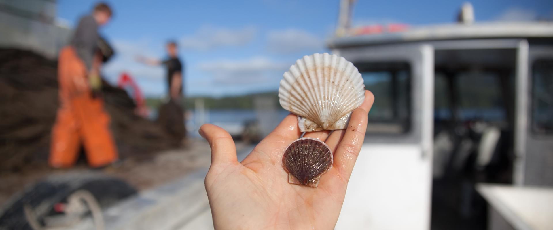 Strategic Initiatives Fund: application deadline | Northern Development