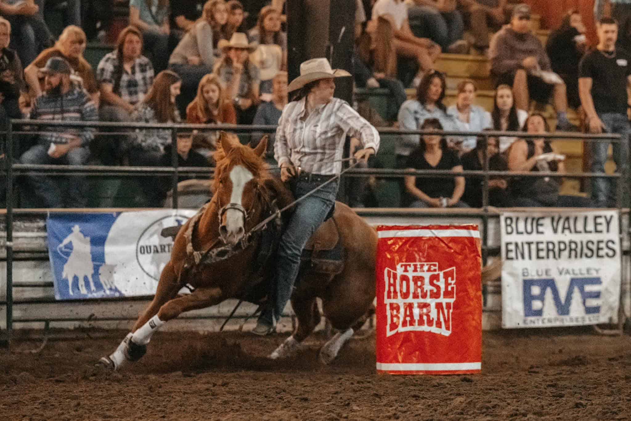 Summer 2024 | Northern Development